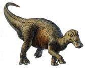 小鸭嘴龙_360百科