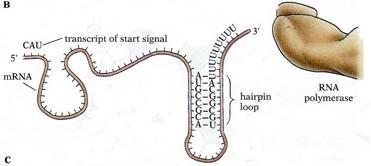 终止信号_360百科