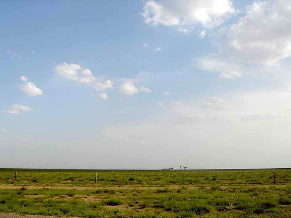 鄂尔多斯草原_360百科