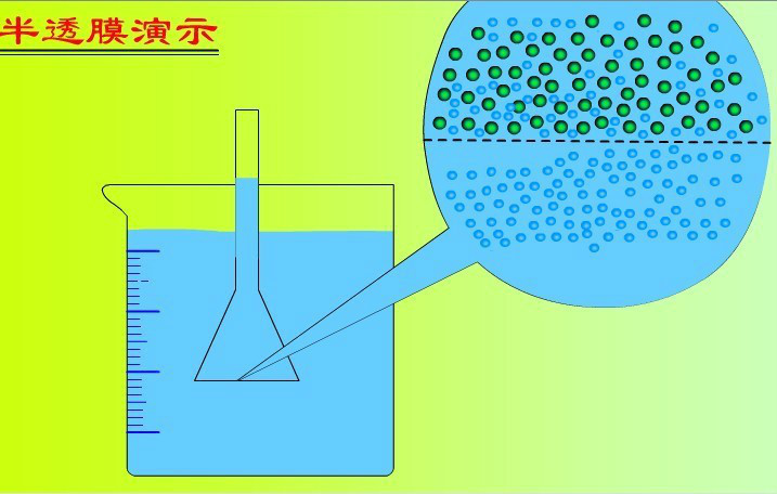 半透膜 360百科