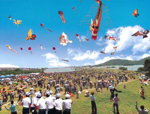 阳江风筝节_360百科