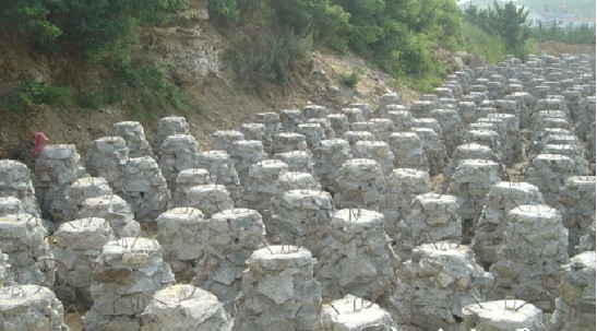 人工鱼礁_360百科