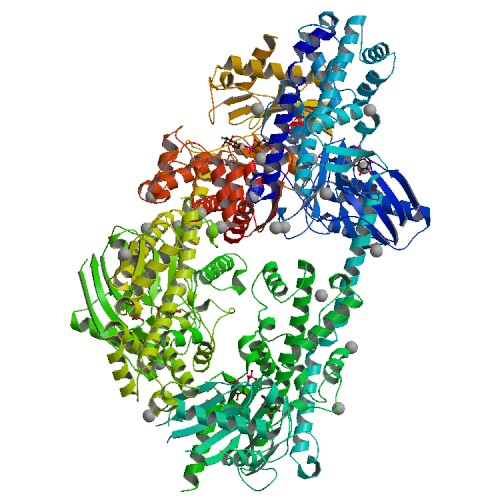 HK2（分子生物学）_技点百科